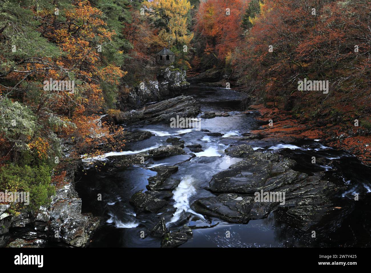 Autumn colours, the river Moriston falls, Invermoriston town, Highlands ...