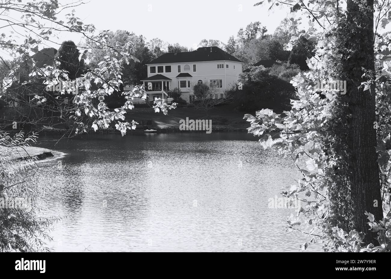 Beautiful lakeside scene trees hi-res stock photography and images - Alamy