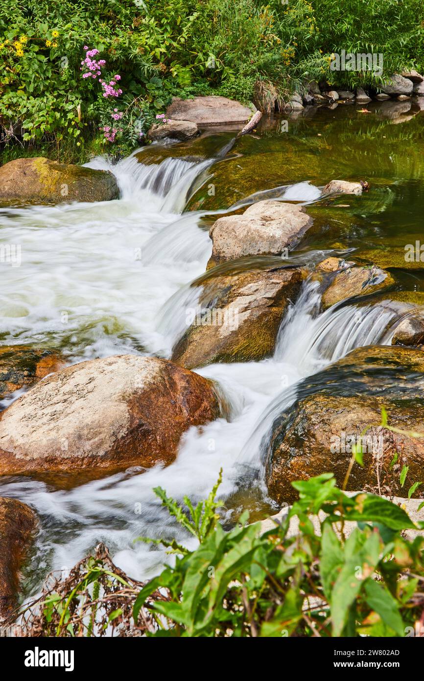 Serene Waterfall Oasis with Pink Wildflowers, Lush Greenery Close-Up ...