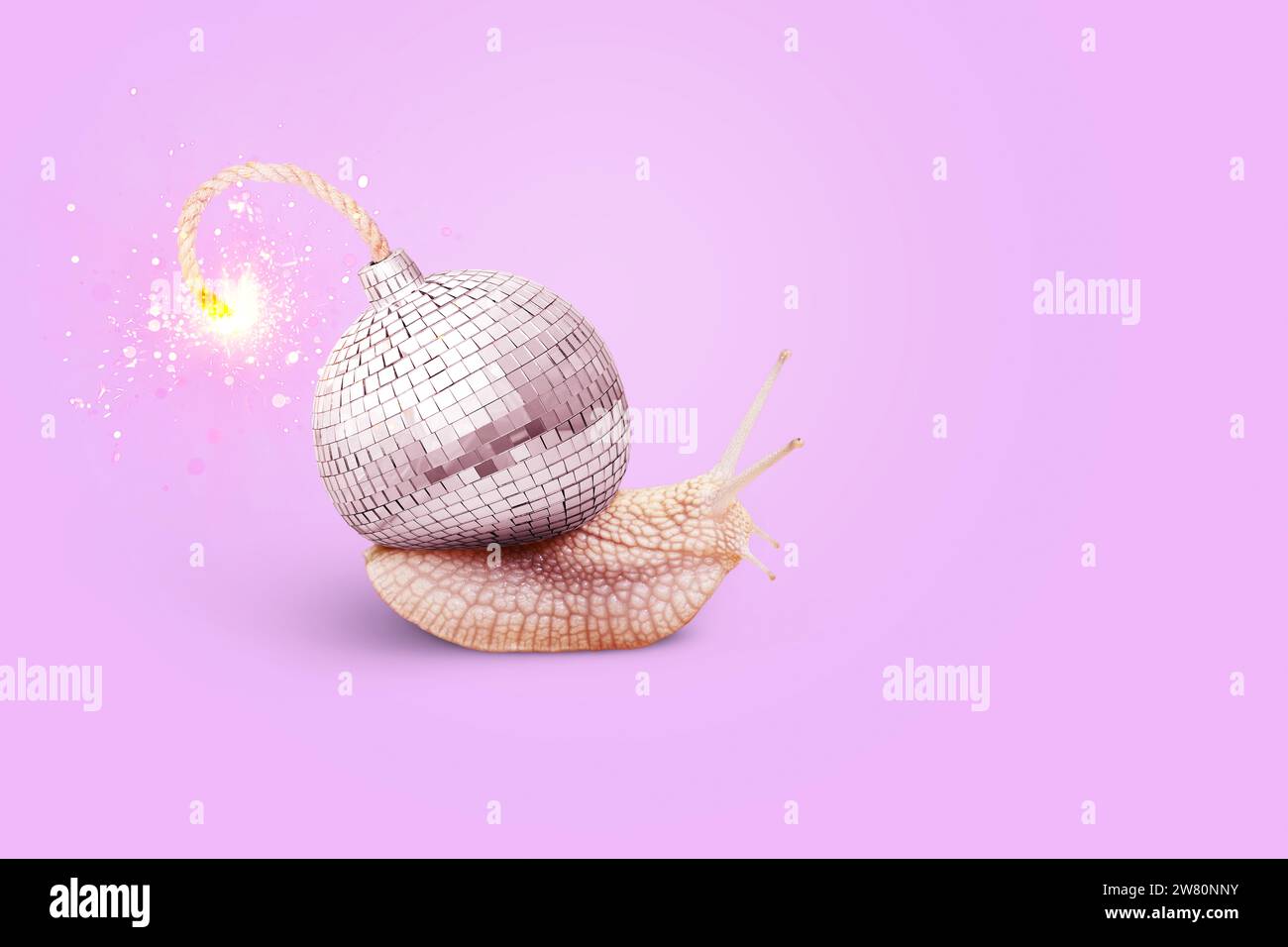 Creative Snail With A Mirror Ball Bomb With Sparks On A Pink Background ...