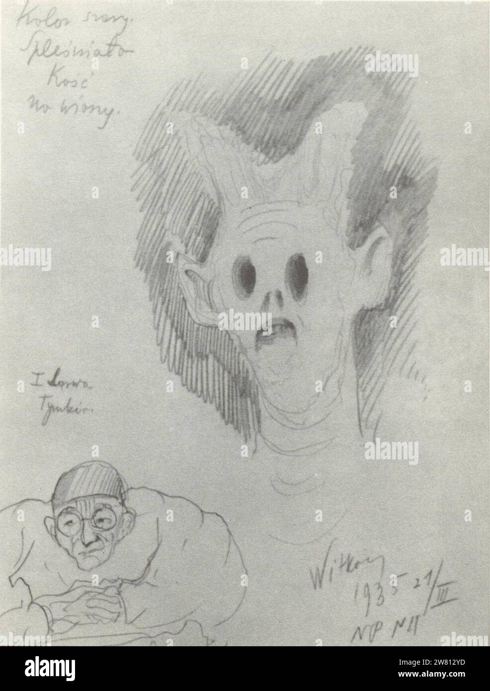 Witkacy - Kolor szary. Spleśniała kość na wióry i larwa Tynkir Stock ...