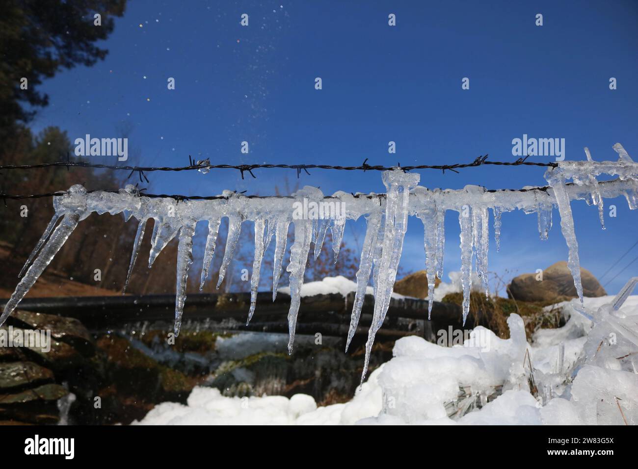 Srinagar Kashmir, India. 21st Dec, 2023. Ice is formed on a wire in ...