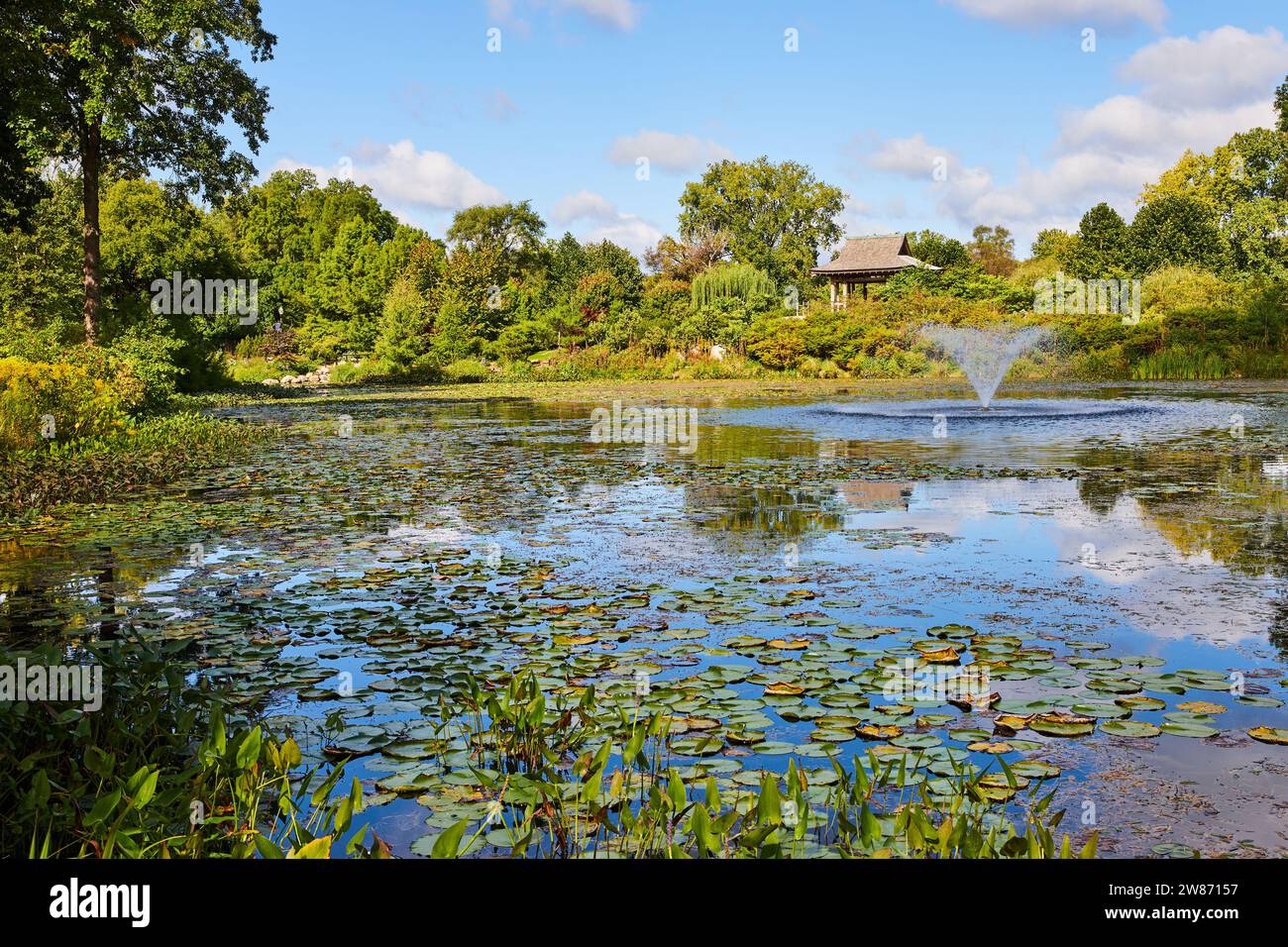 Tranquil Pond with Fountain and Lush Greenery, Botanical Garden Setting ...