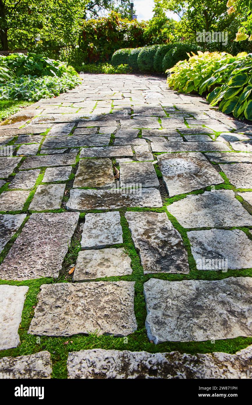 Inviting Rustic Garden Path with Lush Greenery and Stone Slabs Stock ...