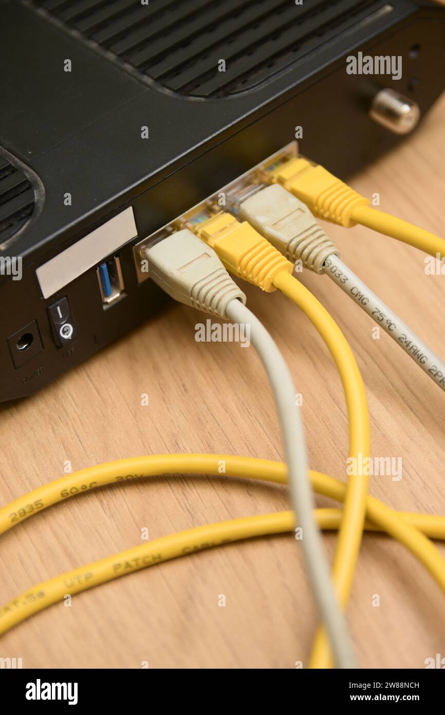 View of the RJ45 connections that a router has that are used to create ...