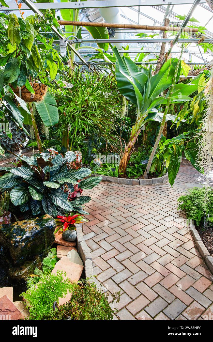 Tropical Greenhouse Oasis with Brick Pathway and Lush Foliage Stock ...