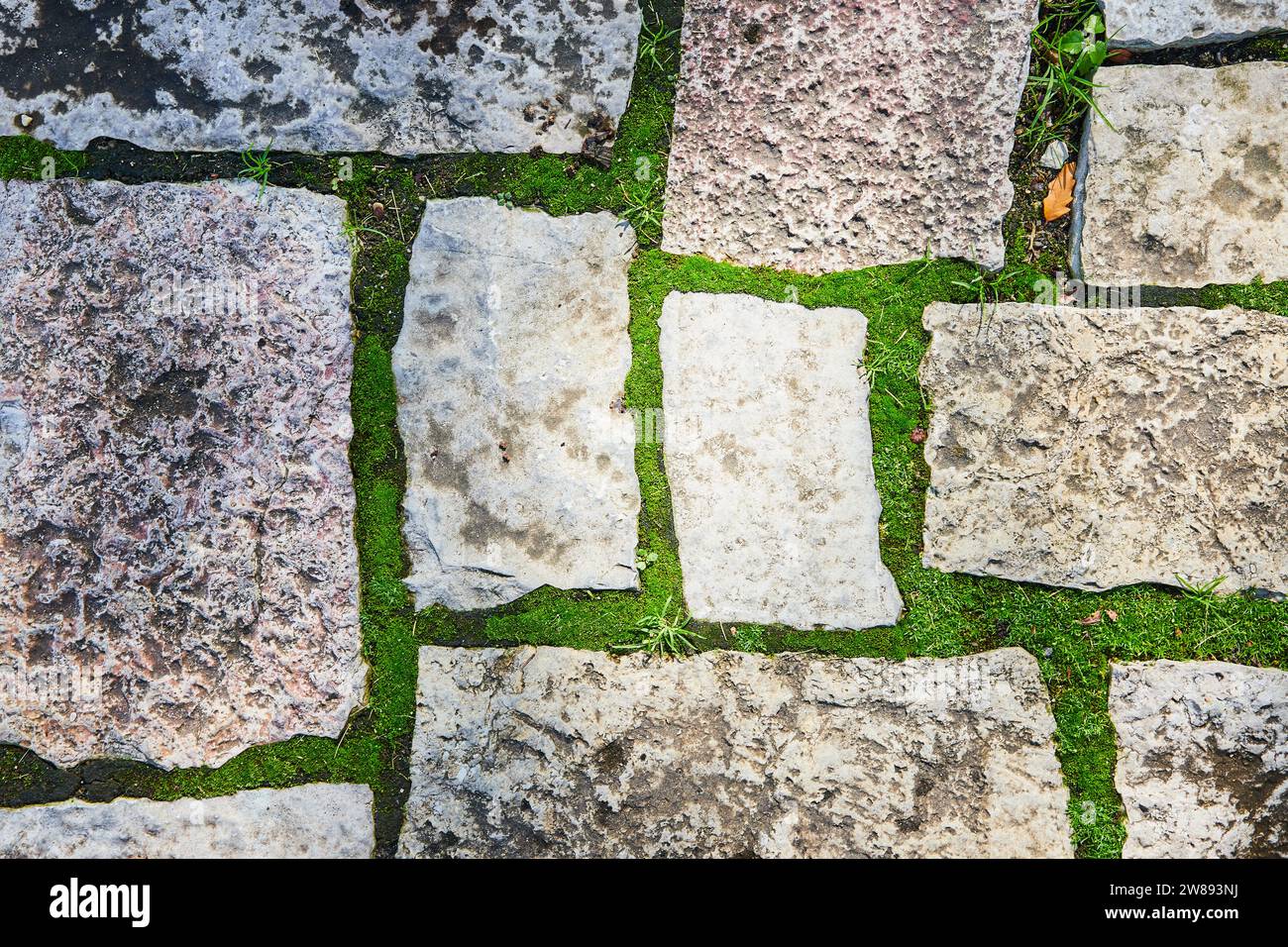Rustic Stone Slabs and Green Moss Pathway Texture Top-Down View Stock ...