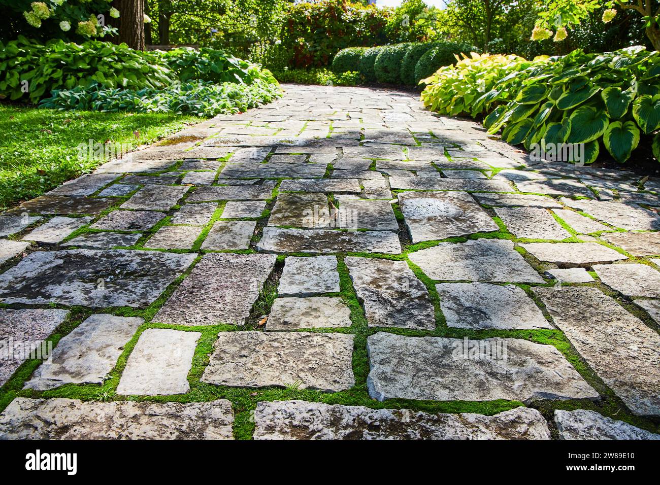 Tranquil Cobblestone Pathway with Lush Greenery, Garden Perspective Stock Photo - Alamy