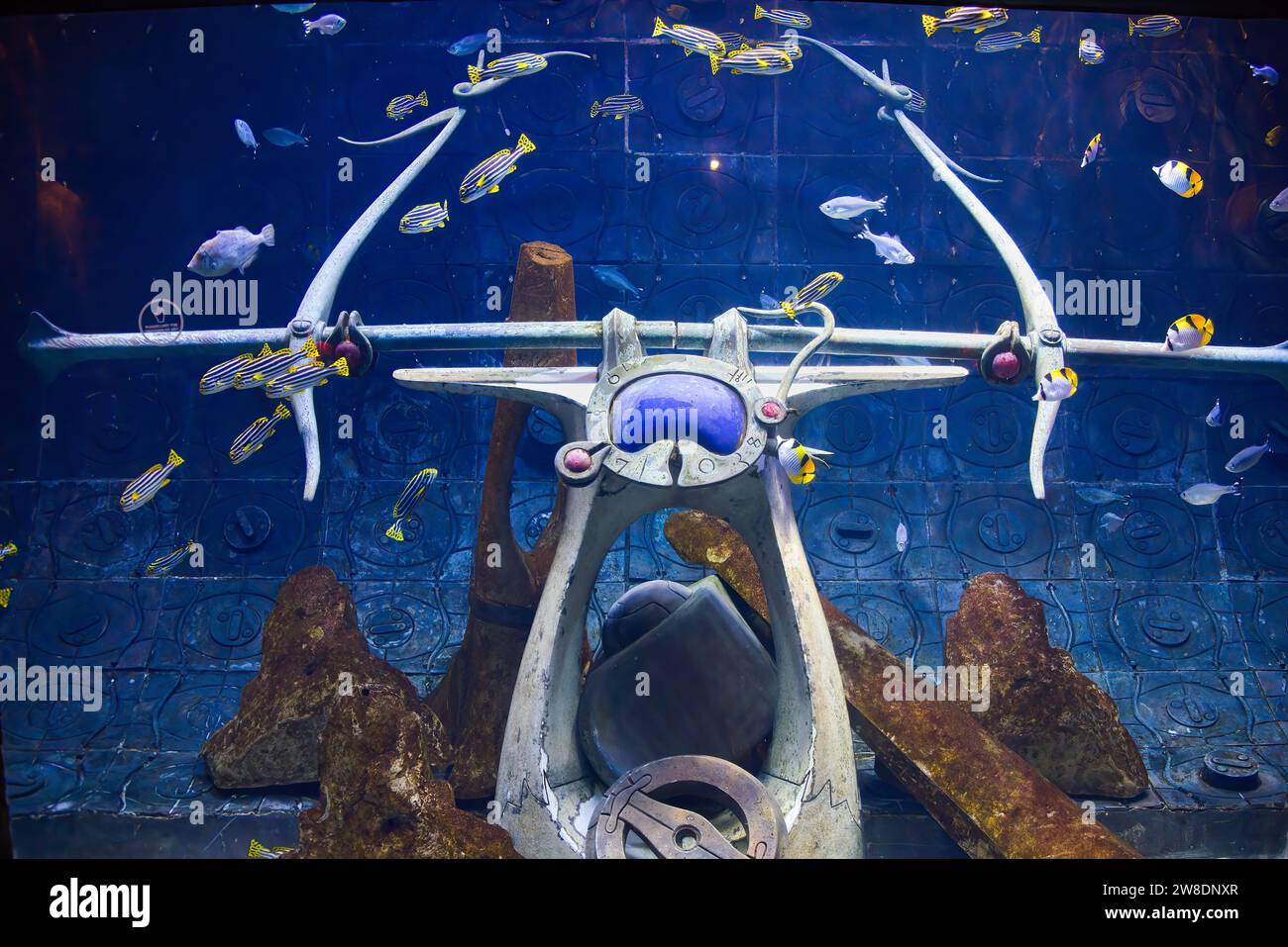 Fish filled Aquarium tank in The Lost Chambers Aquarium at Atlantis The ...