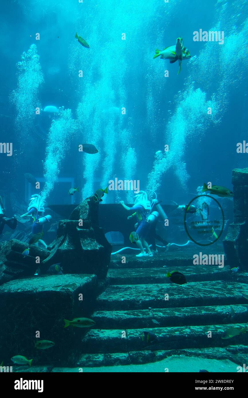 Scuba divers in the Ambassador Lagoon of The Lost Chambers Aquarium at ...