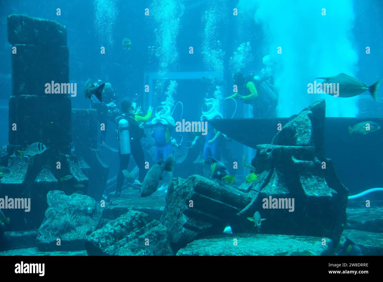 Scuba divers in the Ambassador Lagoon of The Lost Chambers Aquarium at ...