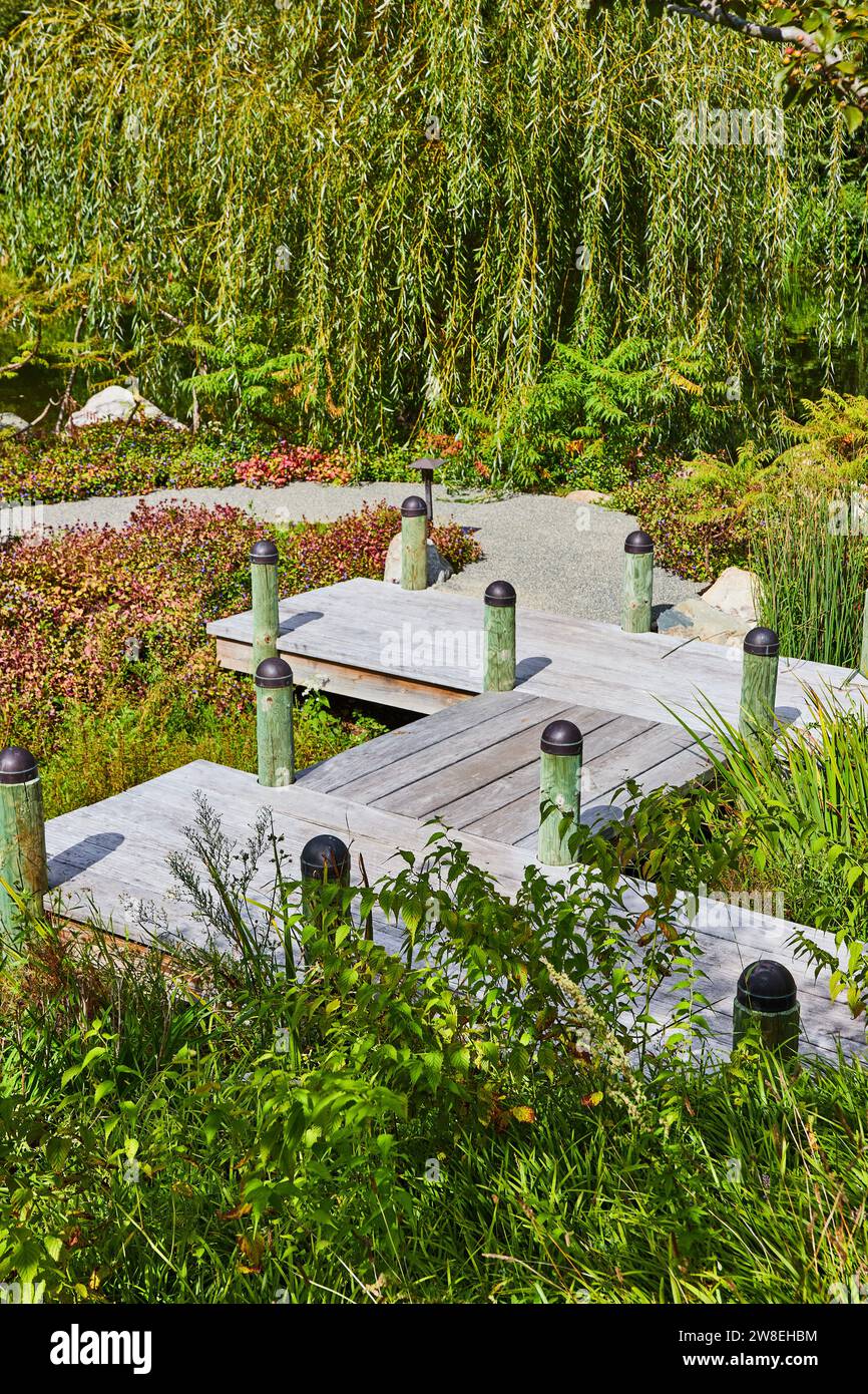 Serene Garden Pathway with Wooden Boardwalk and Weeping Willow Stock ...