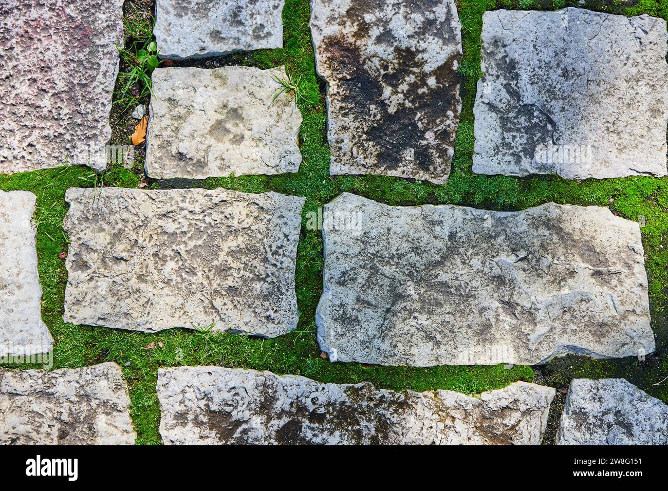 Garden path close up hi-res stock photography and images - Alamy
