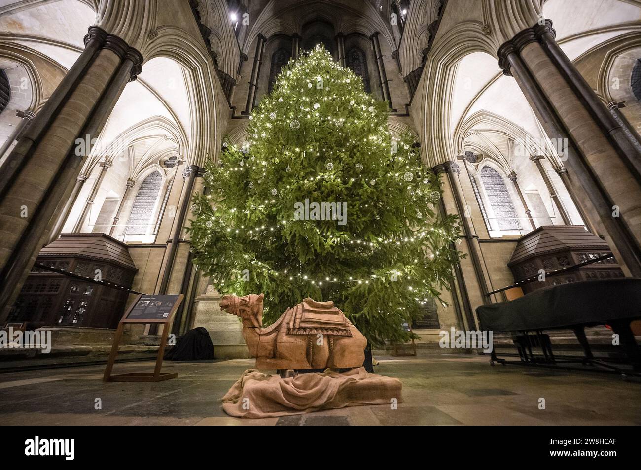 Wiltshire, UK. 21st December 2023. The annual Salisbury Cathedral ...