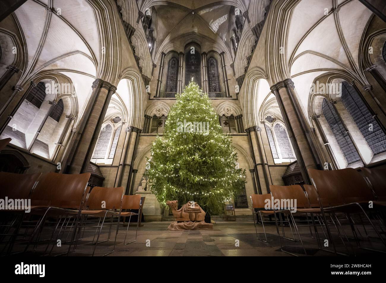 Wiltshire, UK. 21st December 2023. The annual Salisbury Cathedral ...