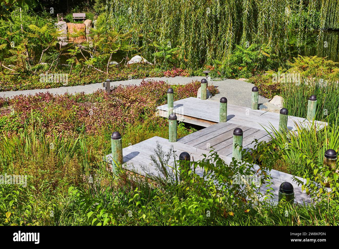 Serene Garden Pathway with Water Reflections and Weeping Willow Stock ...