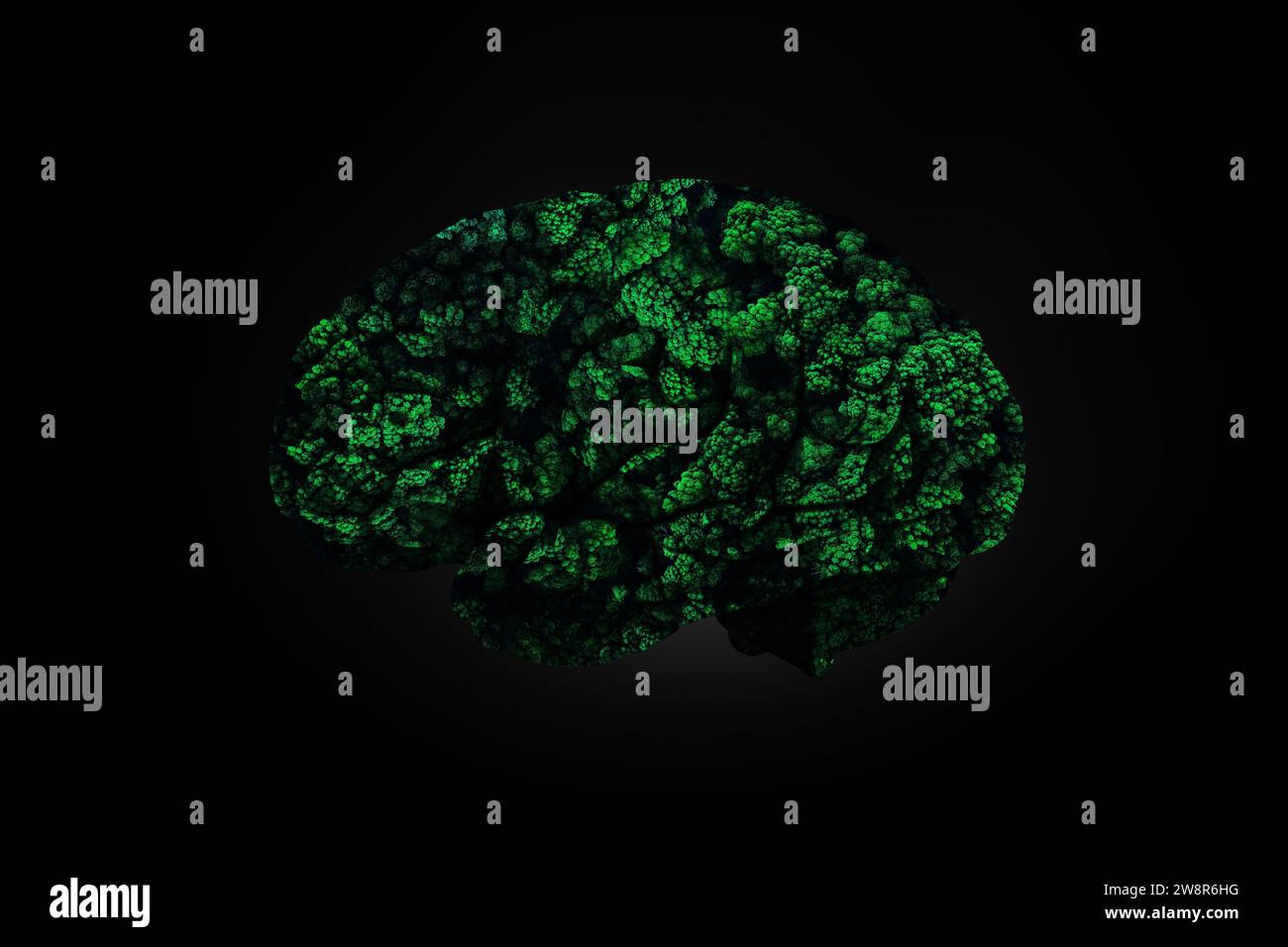 Green Forest From The Brain On A Black Background. Health And Thinking ...