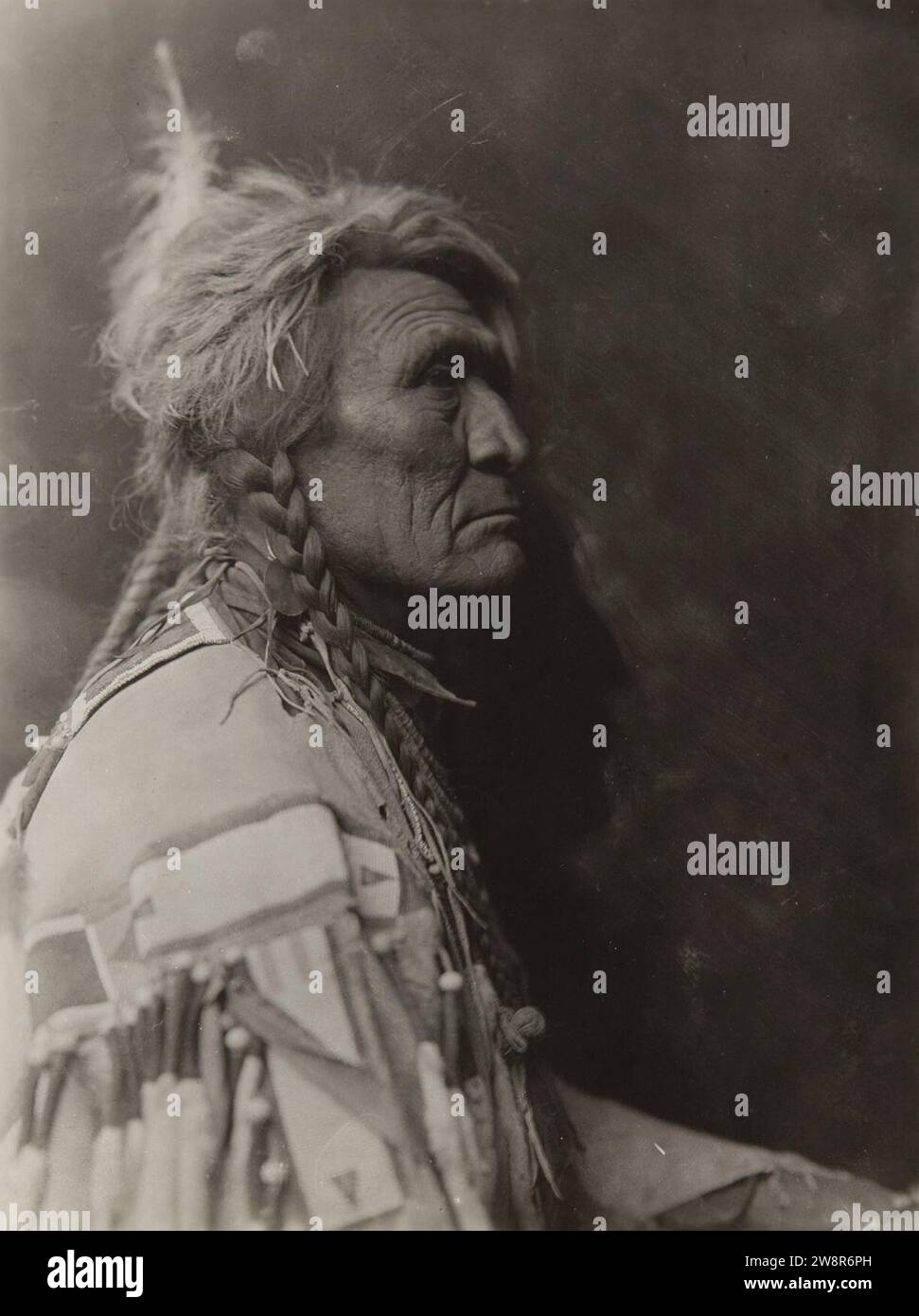 Wolf - Crow Stock Photo - Alamy