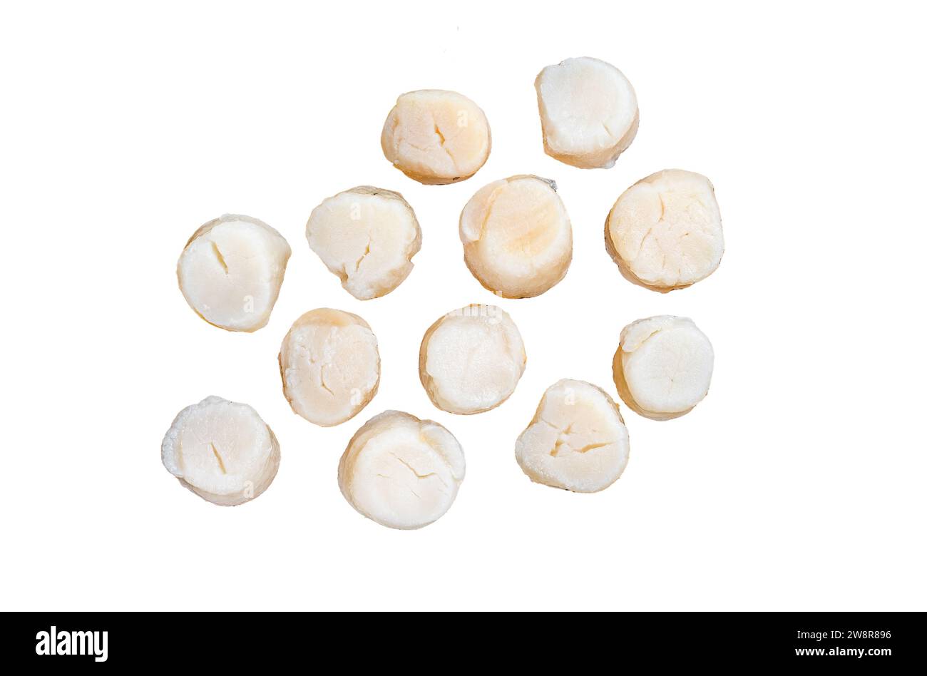 Steamed scallops meat Isolated on white background, top view Stock ...
