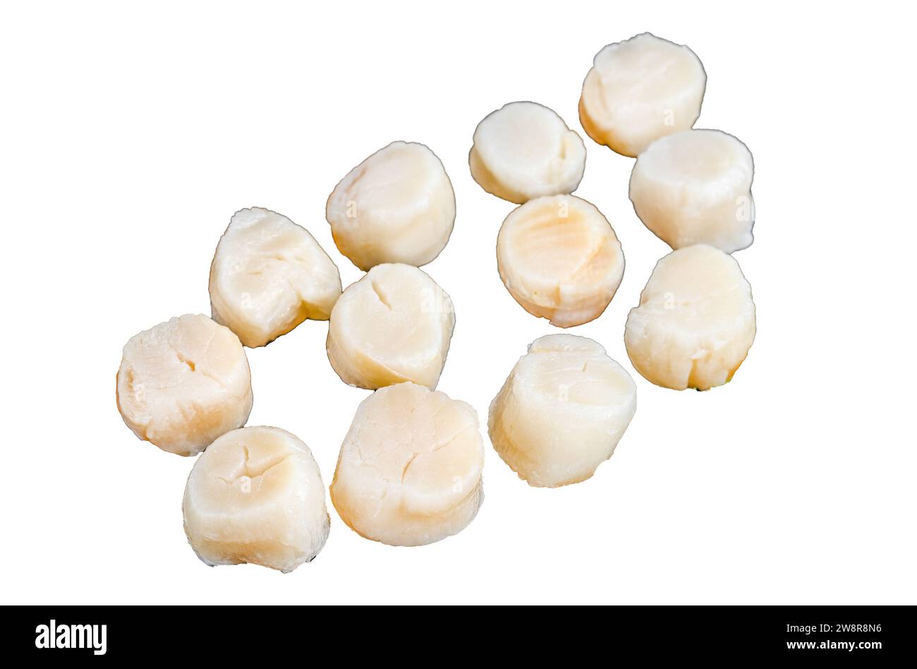 Seafood fresh scallops meat Isolated on white background, top view ...