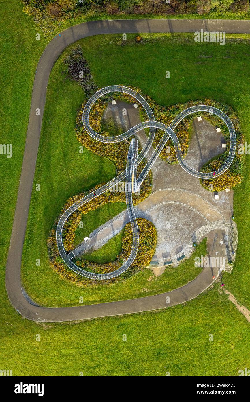 Tiger turtle stairs hi-res stock photography and images - Alamy