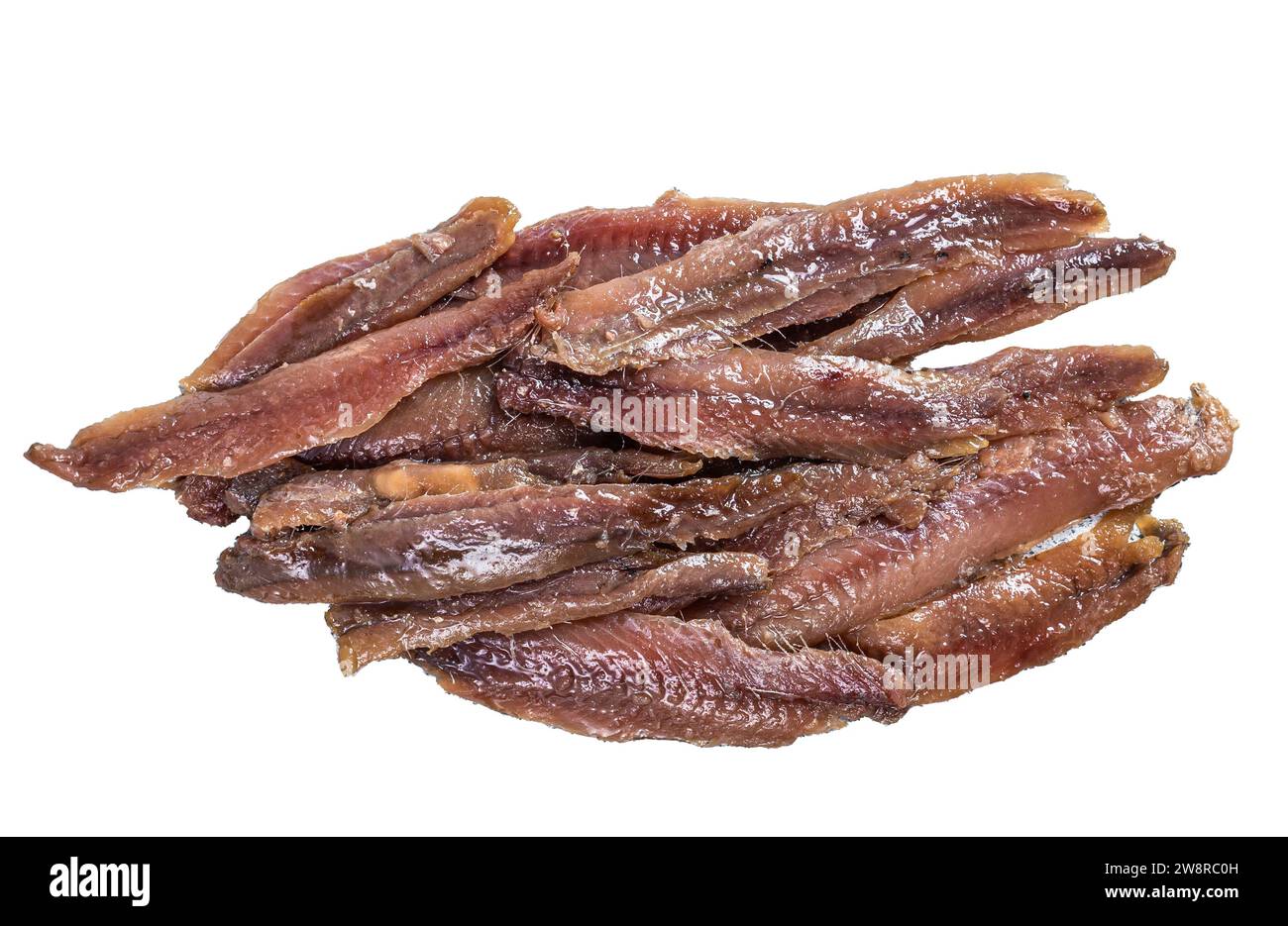 Canned Anchovies fish fillet in Olive Oil. Isolated on white background ...
