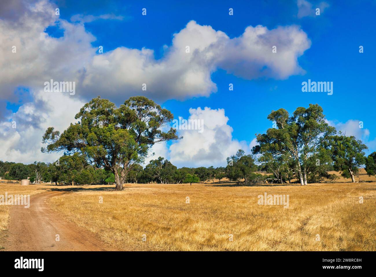 Rolling belt hi-res stock photography and images - Alamy