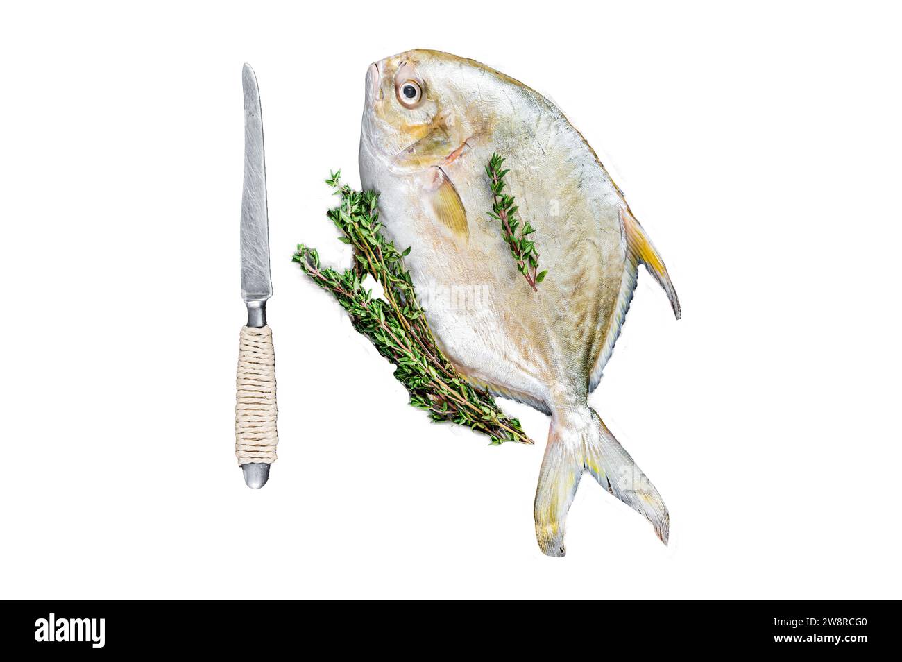 Pompano Cut Out Stock Images & Pictures - Alamy