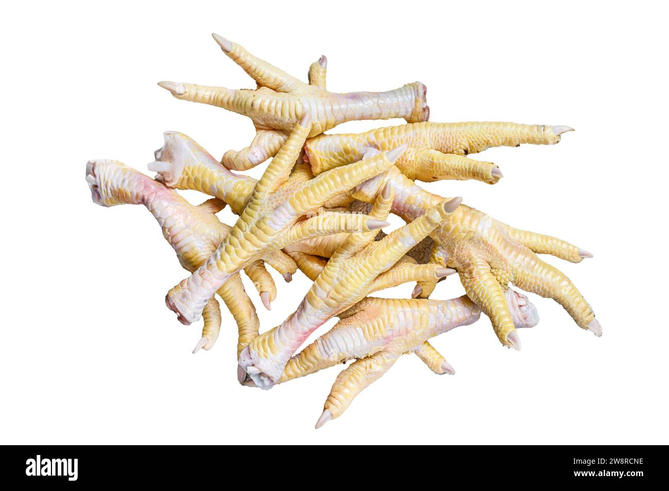 Raw Chicken feets on kitchen table. Isolated on white background, top ...