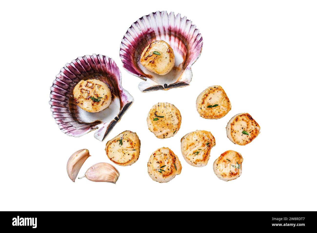 Fried seafood scallops meat with butter in a shells. Isolated on white ...