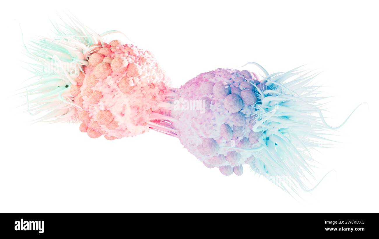 Magnification of a cancer cell division. Mutations in genes can cause ...