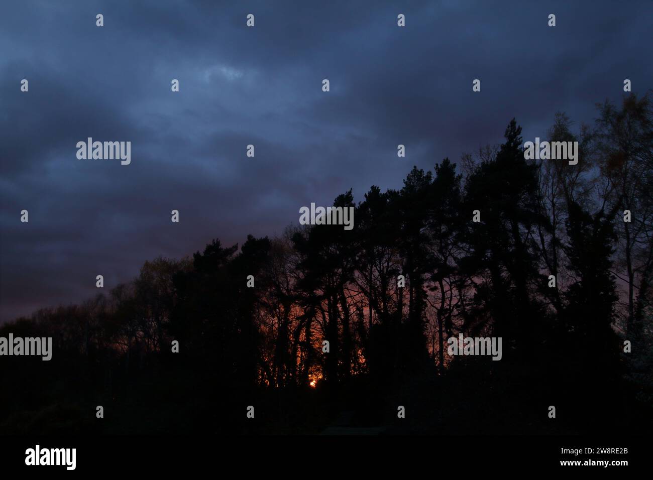 Sunset with line of trees diagonal across picture Stock Photo - Alamy
