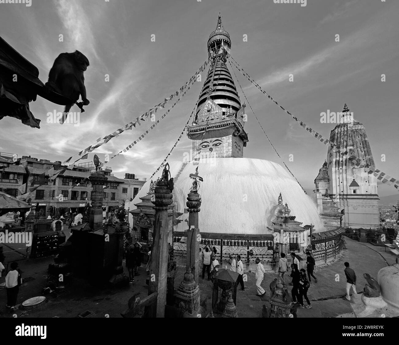 Monkey swayambhu temple in Black and White Stock Photos & Images - Alamy