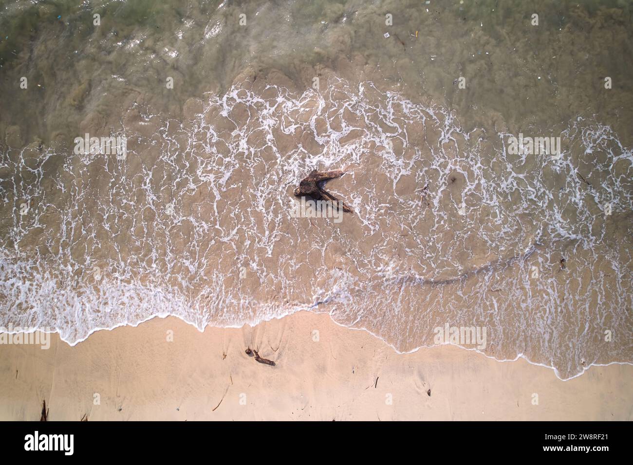 An old log with a root in the ocean was nailed by a wave with the tide ...