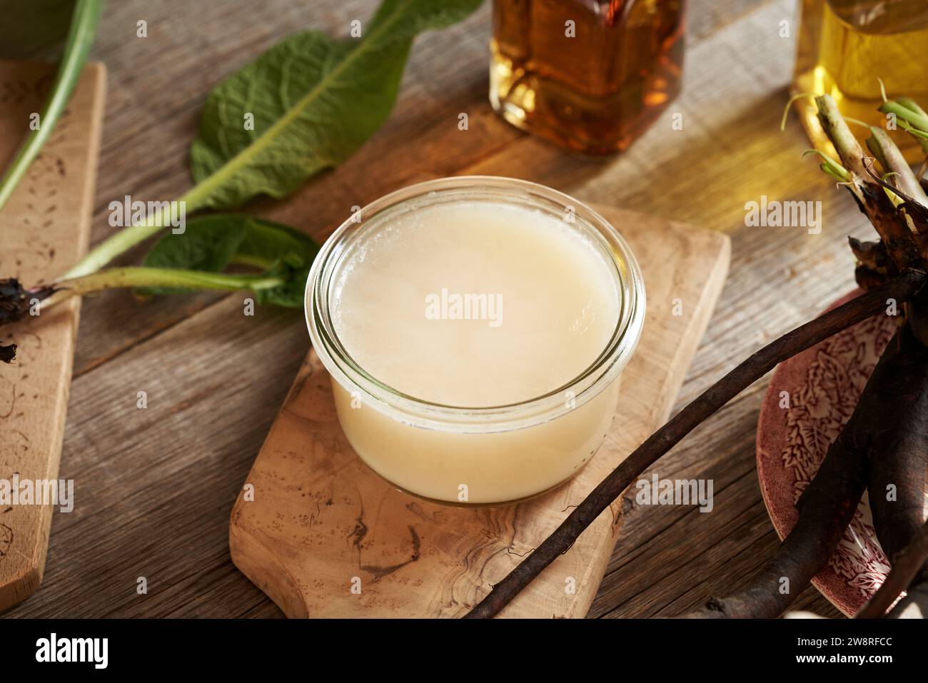 Comfrey ointment made of fresh Symphytum root and rendered pork lard ...