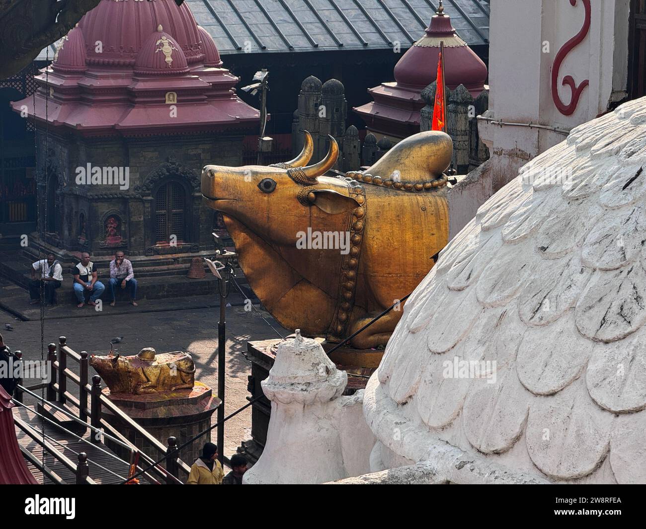 The sacred bull at Pashupatinath a Hindu Temple in Kathmandu, Nepal ...