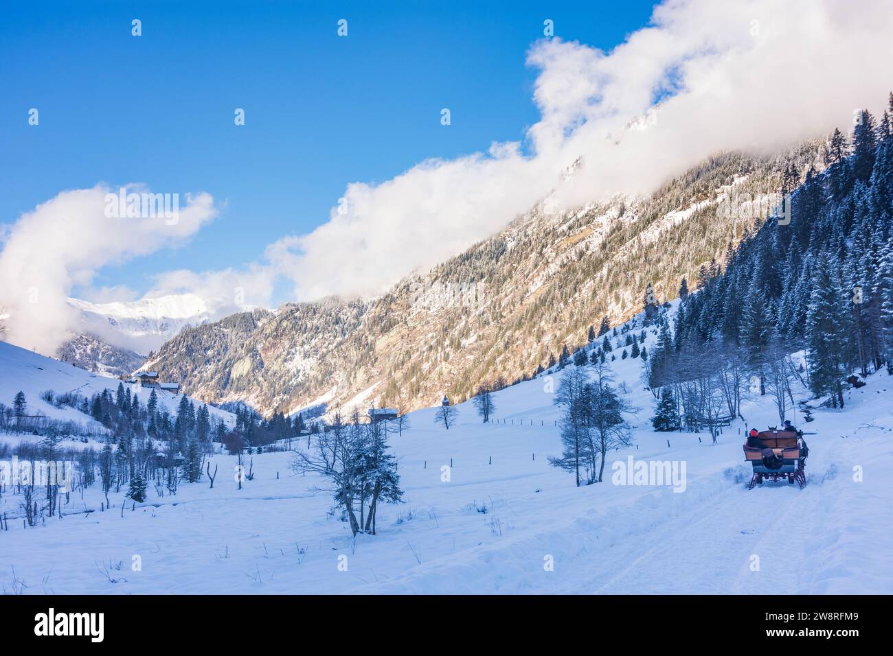 Hüttschlag: horse sled, Großarler Ache Valley, wooden huts, mountains ...