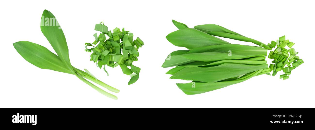 Ramson bunch vegetable isolated on white background with full depth of ...