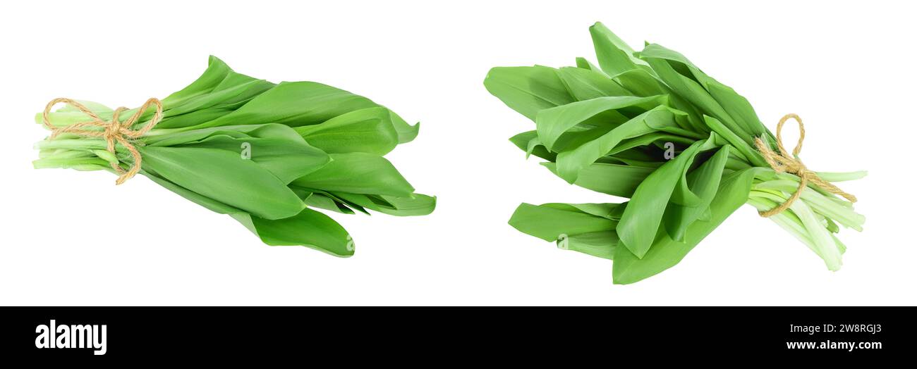 Ramson bunch vegetable isolated on white background with full depth of ...