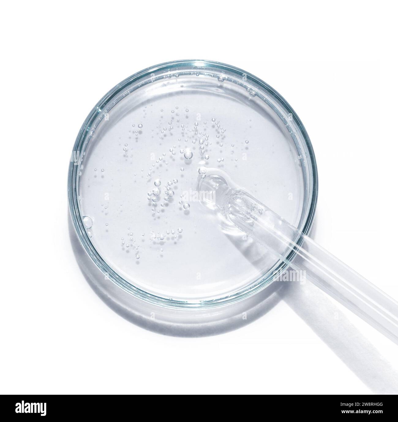 Petri dish with serum oil sample swatch texture isolated on white ...