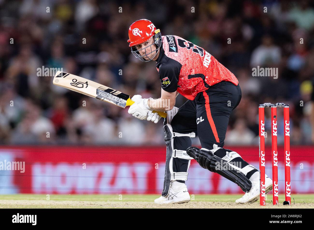 Melbourne, Australia, 21 December, 2023. Melbourne Renegades player Tom ...