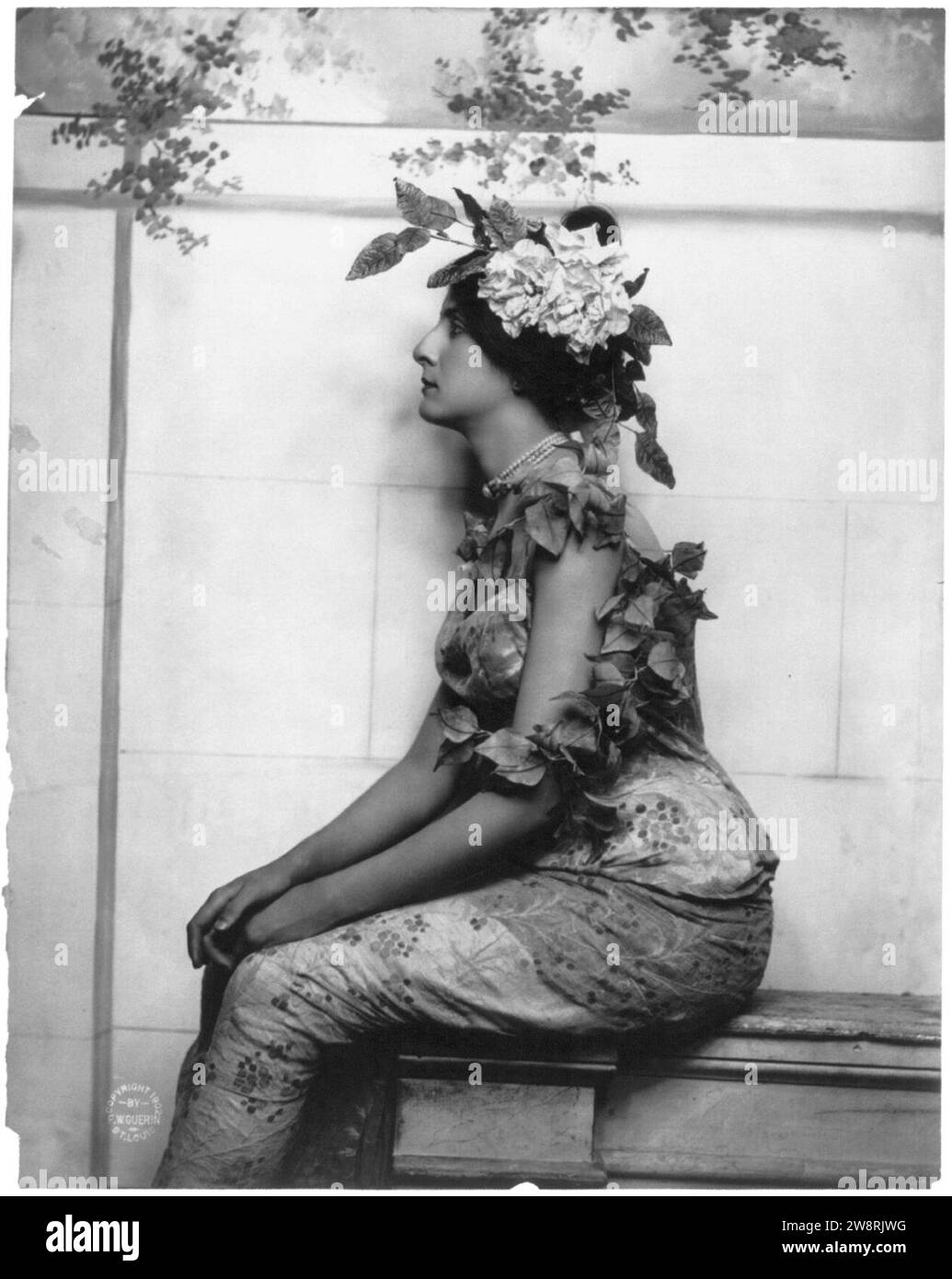 Woman posed, three-quarter length, seated, left profile, with vine ...