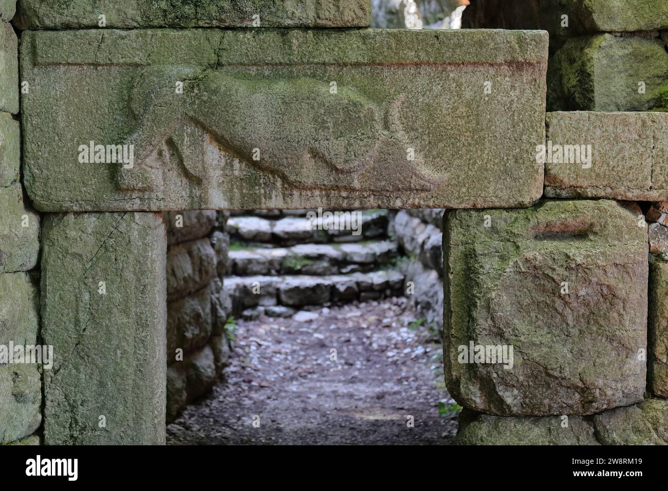 Luigi maria ugolini archaeologist hi-res stock photography and images ...