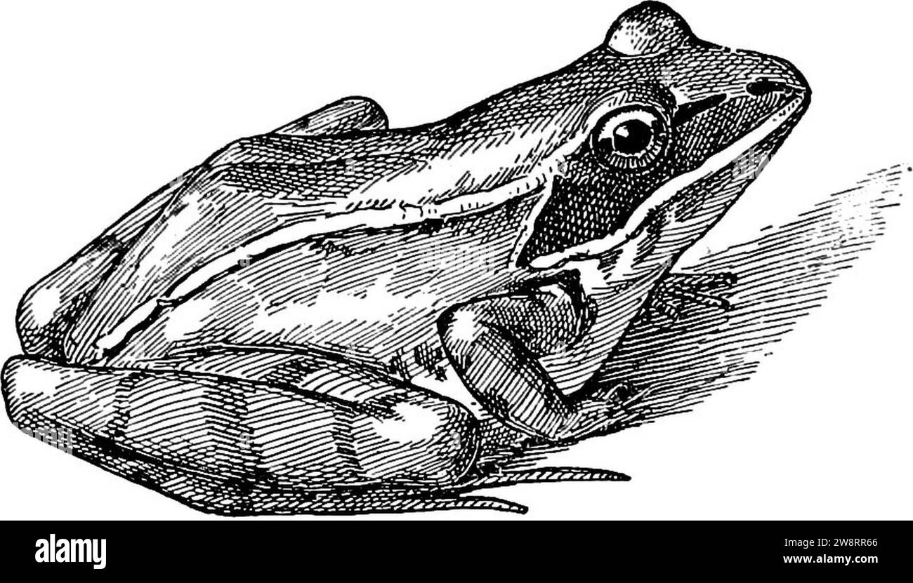 Tsf Black and White Stock Photos & Images - Alamy