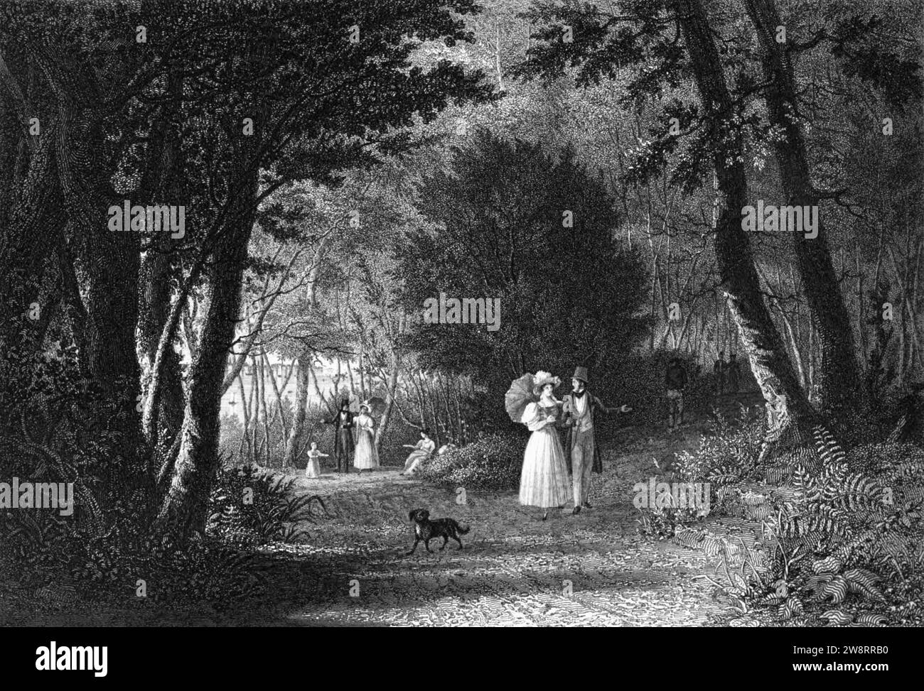 Wood scene Black and White Stock Photos & Images - Alamy
