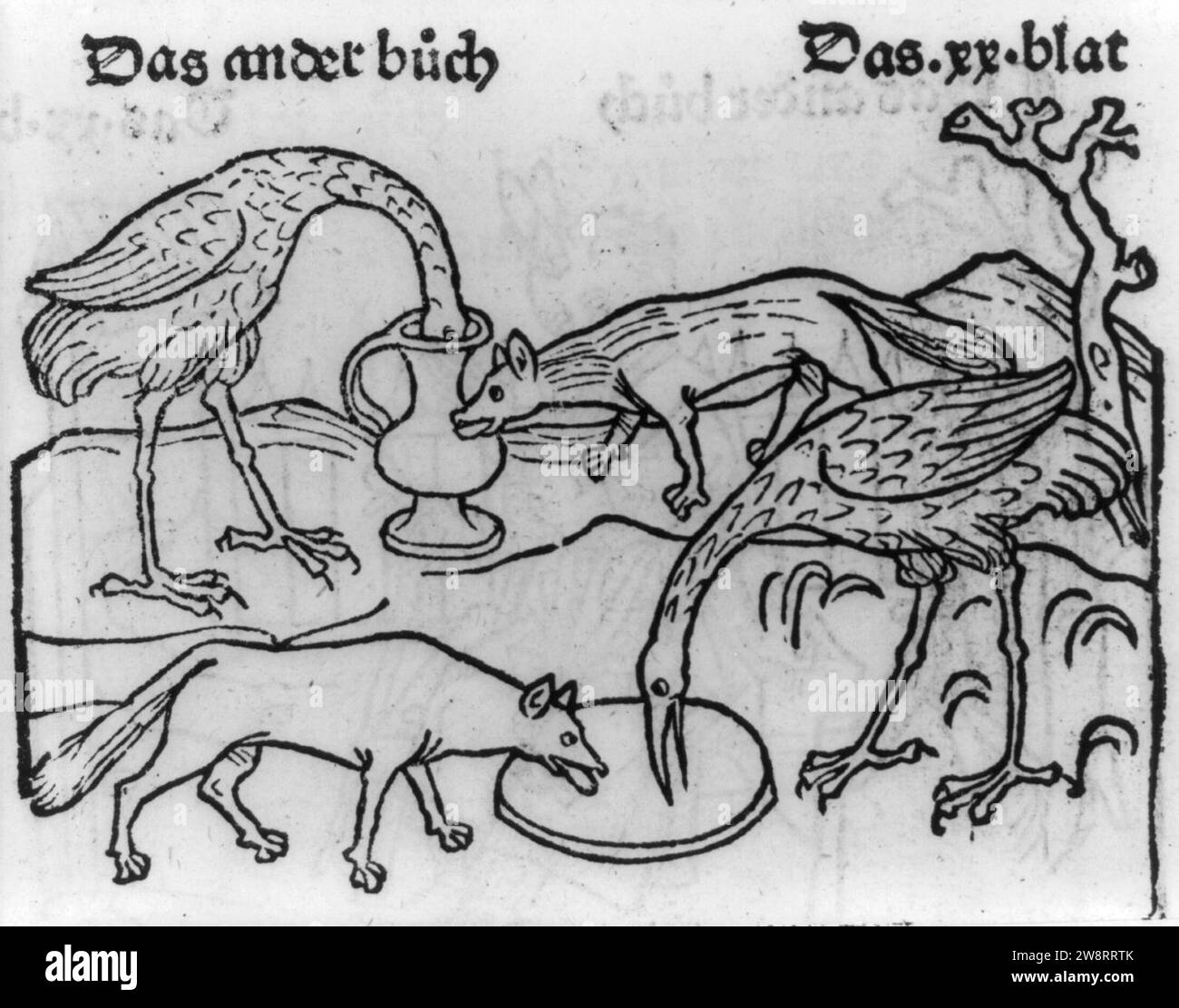 Woodcuts used to illus. Fables from incunabula...1966- the fox and the ...