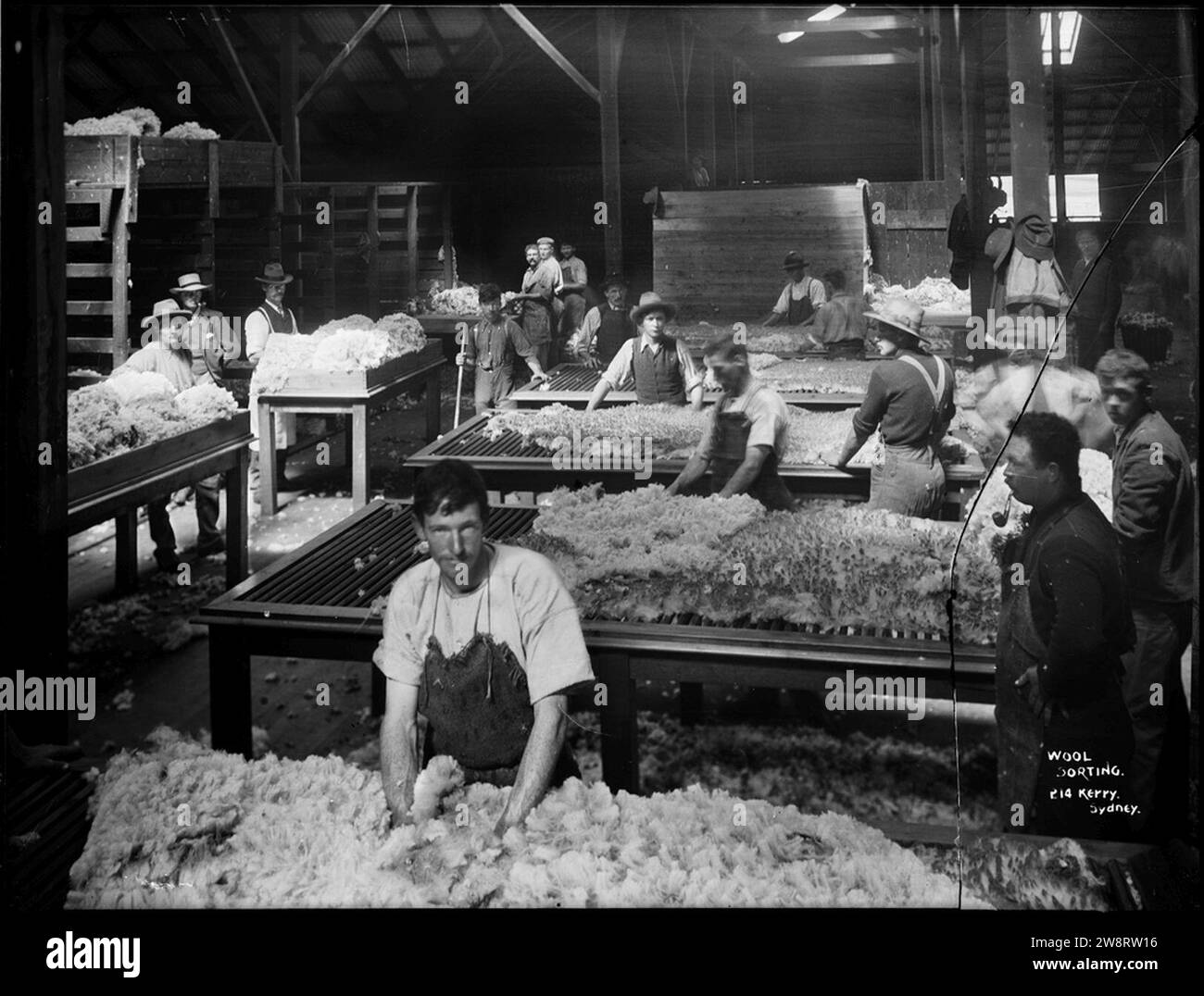 Wool sorting hi-res stock photography and images - Alamy