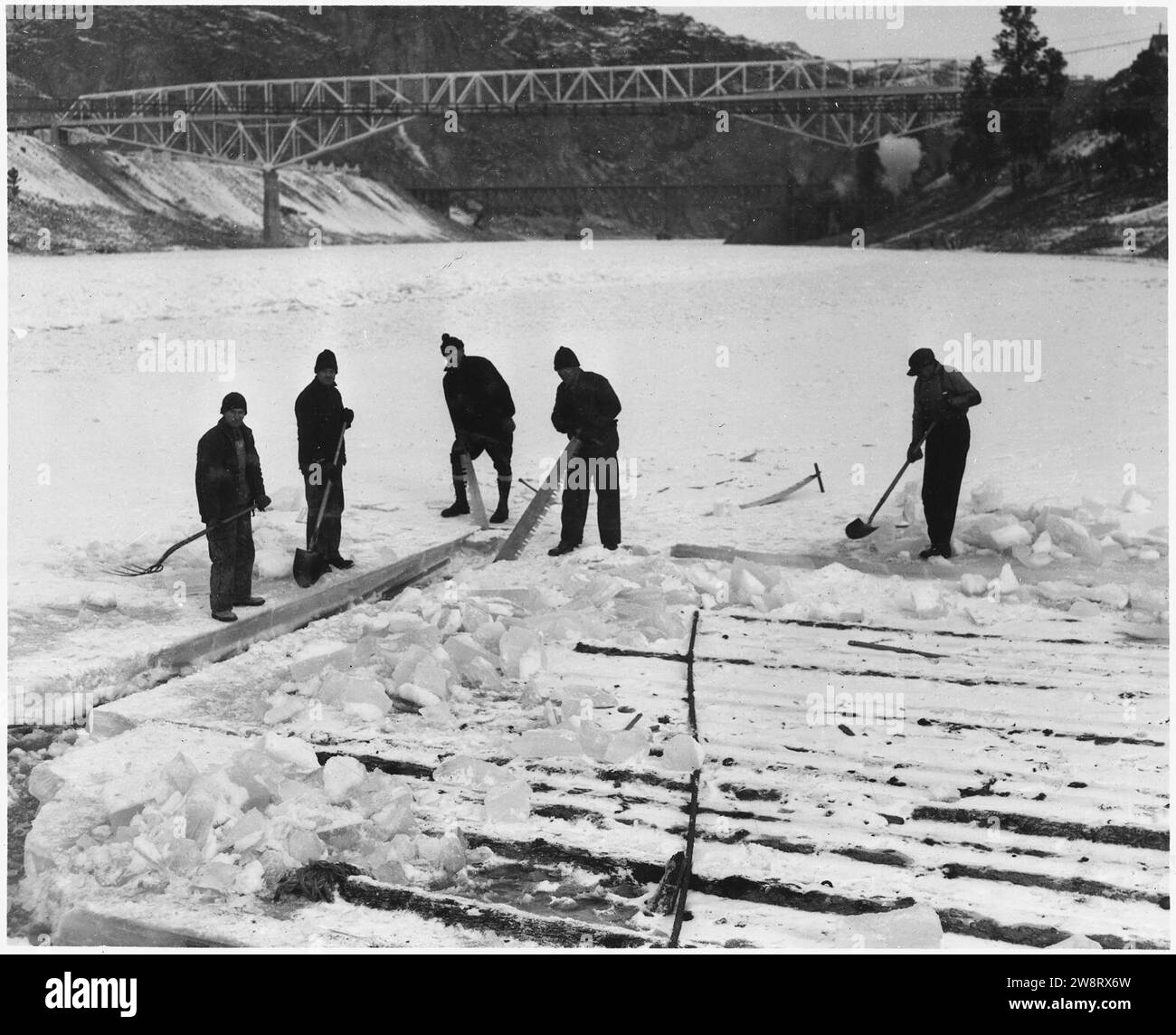 Workmen cutting ice around a raft of wood piling, showing the thickness ...