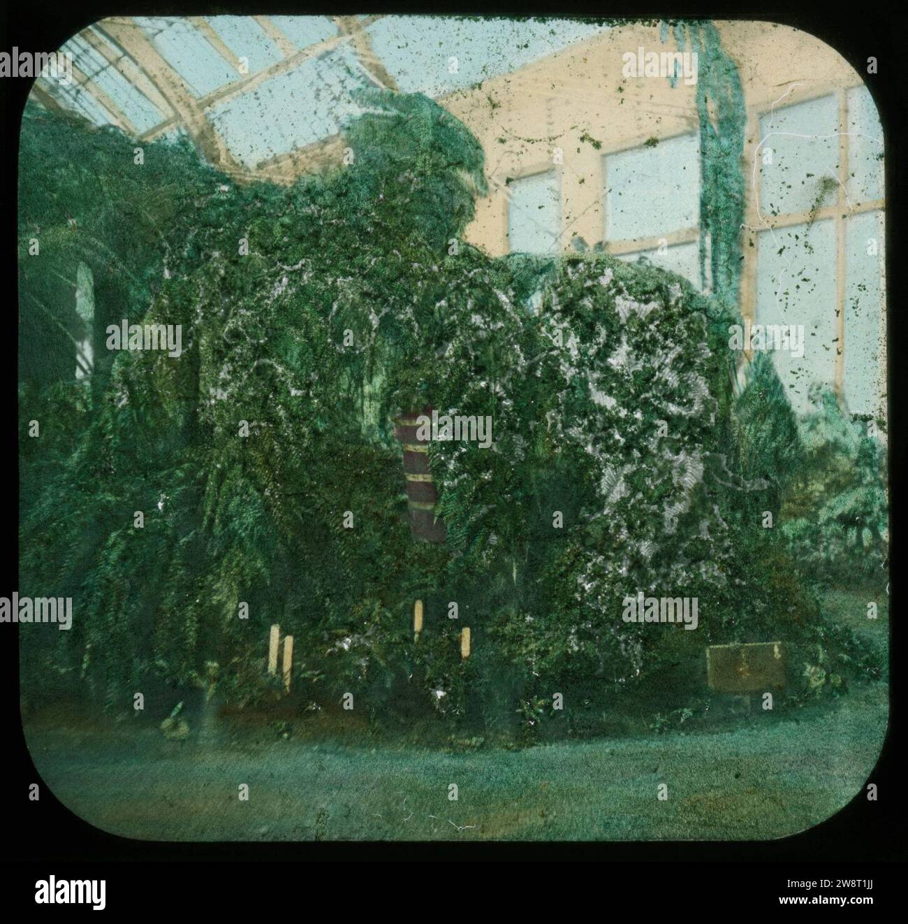 World's Columbian Exposition lantern slides, Horticultural Building ...