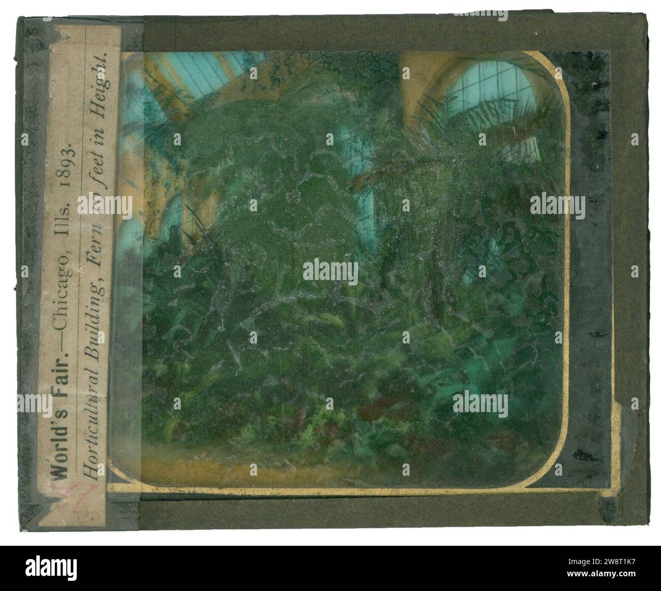 World's Columbian Exposition lantern slides, Horticultural Building ...